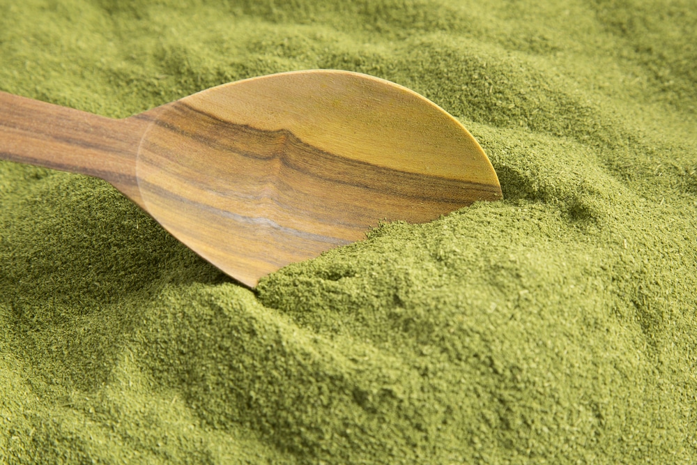 Inaugurada en Cuba la primera planta de procesamiento de moringa en polvo